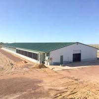 China Thermal Insulation Fast Assemble Steel Structure Chicken House Economical Prefab Poultry Shed Wind/Snow Resistant Fire-Retardant for sale