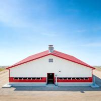 China Large Span Thermal Insulation Fast Assemble Steel Structure Chicken House Economical Prefab Poultry Shed Layer Breeding for sale