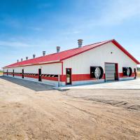 China Large Span Thermal Insulation Fast Assemble Steel Structure Chicken House Economical Prefab Poultry Shed Layer Breeding for sale