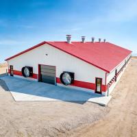 China Large Span Thermal Insulation Fast Assemble Steel Structure Chicken House Economical Prefab Poultry Shed Layer Breeding for sale