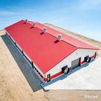 China Large Span Thermal Insulation Fast Assemble Steel Structure Chicken House Economical Prefab Poultry Shed Layer Breeding for sale