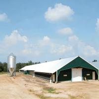 China Hot-Dip Galvanized Customizable Multi-Bay Steel Structure Cow Barn for Commercial Ranch Dairy Cow Breeding for sale