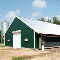 China Hot-Dip Galvanized Customizable Multi-Bay Steel Structure Cow Barn for Commercial Ranch Dairy Cow Breeding for sale