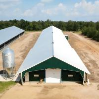 China Hot-Dip Galvanized Customizable Multi-Bay Steel Structure Cow Barn for Commercial Ranch Dairy Cow Breeding for sale