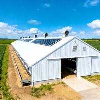 China Large-Scale Poultry Farming Thermal Insulation Fast Assemble Steel Structure Chicken House Economical Prefab Poultry Shed Layer Breeding for sale
