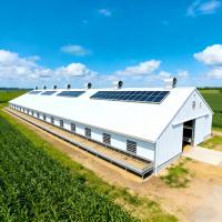 China Large-Scale Poultry Farming Thermal Insulation Fast Assemble Steel Structure Chicken House Economical Prefab Poultry Shed Layer Breeding for sale