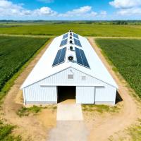 China Large-Scale Poultry Farming Thermal Insulation Fast Assemble Steel Structure Chicken House Economical Prefab Poultry Shed Layer Breeding for sale