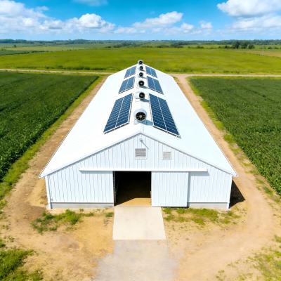 China Large-Scale Poultry Farming Thermal Insulation Fast Assemble Steel Structure Chicken House Economical Prefab Poultry Shed Layer Breeding for sale