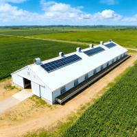 China Large-Scale Poultry Farming Thermal Insulation Fast Assemble Steel Structure Chicken House Economical Prefab Poultry Shed Layer Breeding for sale