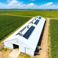 China Large-Scale Poultry Farming Thermal Insulation Fast Assemble Steel Structure Chicken House Economical Prefab Poultry Shed Layer Breeding for sale