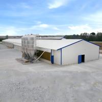 China Broiler Farming Thermal Insulation Fast Assemble Steel Structure Chicken House Economical Prefab Poultry Shed Layer Breeding for sale