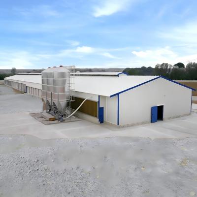 China Broiler Farming Thermal Insulation Fast Assemble Steel Structure Chicken House Economical Prefab Poultry Shed Layer Breeding for sale