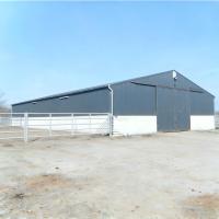 China Dairy Cow Breeding Customizable Multi-Bay Steel Structure Cow Barn for Commercial Ranch Beef Cattle Fattening for sale