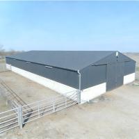 China Dairy Cow Breeding Customizable Multi-Bay Steel Structure Cow Barn for Commercial Ranch Beef Cattle Fattening for sale