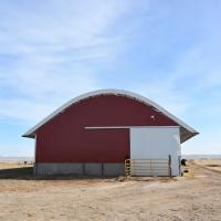 China Single Barn Custom Customizable Multi-Bay Steel Structure Cow Barn for Commercial Ranch Beef Cattle Fattening for sale