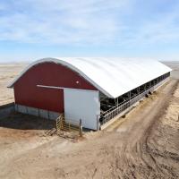 China Single Barn Custom Customizable Multi-Bay Steel Structure Cow Barn for Commercial Ranch Beef Cattle Fattening for sale