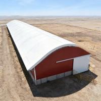 China Single Barn Custom Customizable Multi-Bay Steel Structure Cow Barn for Commercial Ranch Beef Cattle Fattening for sale