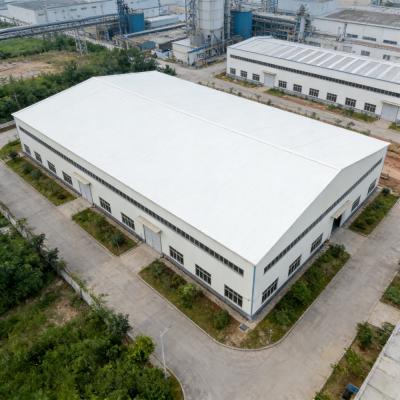 China Heavy Duty Steel Structure Workshop Q235 Q355 Large Span 8-40m for Machinery Assembly Plant for sale