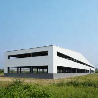 China Q355 Steel Prefabricated Large-Span Industrial Factory Building Fire-Retardant 8-40m Span for sale