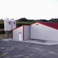 China Hot Dip Galvanized Steel Chicken Shed 4-20m Span Poultry House with 15-20 Year Service Life for sale