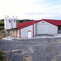China Hot Dip Galvanized Steel Chicken Shed 4-20m Span Poultry House with 15-20 Year Service Life for sale