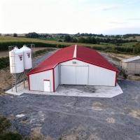 China Hot Dip Galvanized Steel Chicken Shed 4-20m Span Poultry House with 15-20 Year Service Life for sale