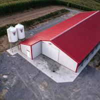 China Hot Dip Galvanized Steel Chicken Shed 4-20m Span Poultry House with 15-20 Year Service Life for sale