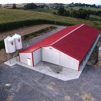 China Hot Dip Galvanized Steel Chicken Shed 4-20m Span Poultry House with 15-20 Year Service Life for sale