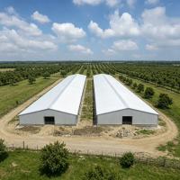 China Hot-Dip Galvanized Steel Chicken House Optimized Ventilation System for Fast Growth of Broilers for sale