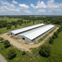 China Hot-Dip Galvanized Steel Chicken House Optimized Ventilation System for Fast Growth of Broilers for sale