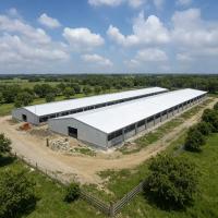 China Hot-Dip Galvanized Steel Chicken House Optimized Ventilation System for Fast Growth of Broilers for sale