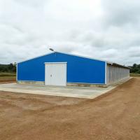 China Hot Dip Galvanized Steel Structure Layer House 4-20m Span Customizable for Egg Chicken Breeding for sale