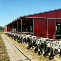 China Hot-dip Galvanized Steel Cow Barn 6-25m Span Wind Load 0.55 kN/m² Adjustable Roll-up Walls for sale