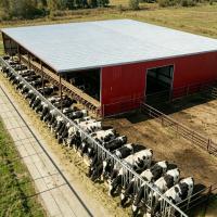 China Hot-dip Galvanized Steel Cow Barn 6-25m Span Wind Load 0.55 kN/m² Adjustable Roll-up Walls for sale