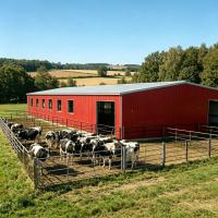 China Hot-dip Galvanized Steel Cow Barn 6-25m Span Wind Load 0.55 kN/m² Adjustable Roll-up Walls for sale