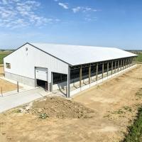 China Large Span Fireproof Anti-Corrosion Steel Structure Cattle Barn 6-25m for Livestock Farm for sale