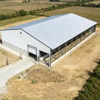 China Large Span Fireproof Anti-Corrosion Steel Structure Cattle Barn 6-25m for Livestock Farm for sale
