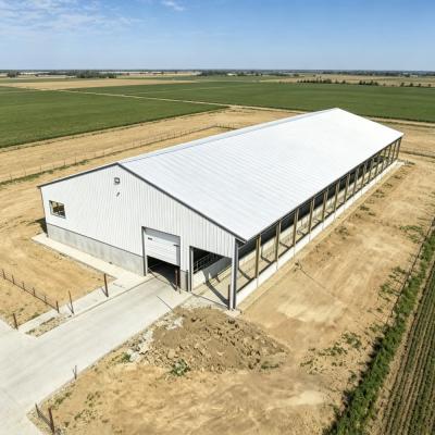China Large Span Fireproof Anti-Corrosion Steel Structure Cattle Barn 6-25m for Livestock Farm for sale