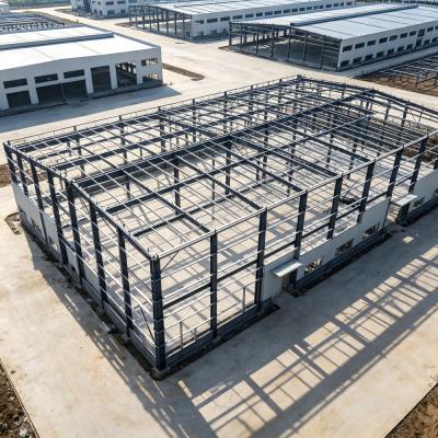 China Fast Installation Economical Steel Structure Workshop Factory Shed for Batch Production Multi-Span Custom for sale