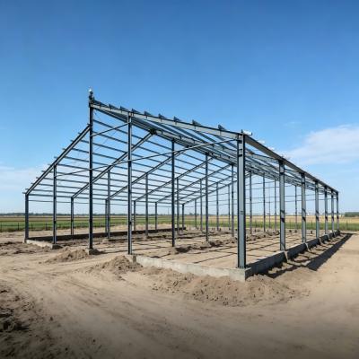 China Customized Steel Structure Cattle Barn 6-25m Span Prefabricated Cow Shed for Ranch for sale