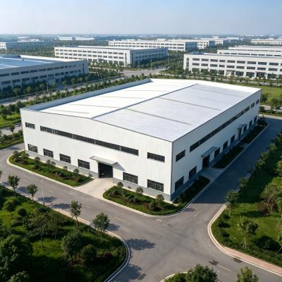 China Economical Light Steel Frame Workshop Building Frame Construction for Budget Friendly Industrial Manufacturing Warehouse for sale