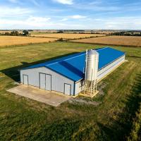 China Ventilation Optimized Steel Frame Chicken House Building for Broiler and Layer Poultry Farming Warehouse Production Shed for sale