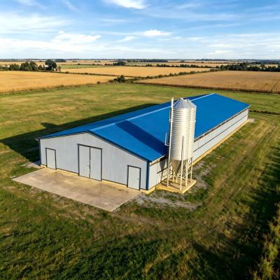 China Ventilation Optimized Steel Frame Chicken House Building for Broiler and Layer Poultry Farming Warehouse Production Shed for sale