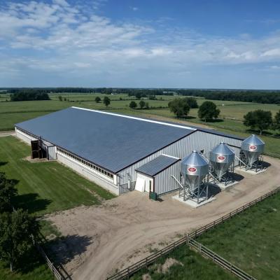 China Animal Welfare Focused Steel Frame Cow Barn with High Ceiling Design for Industrial Manufacturing Warehouse Shed Room for sale
