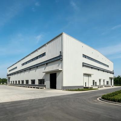 China Modern Steel Structure Warehouse Building Construction for E-commerce Logistics Fulfillment Center Distribution Storage for sale