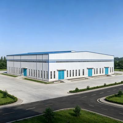 China Steel Structure Workshop Building Shed Construction for Mining Industry and Heavy Equipment Storage Factory Warehouses for sale