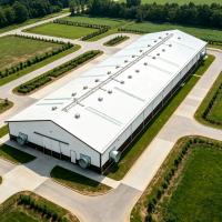 China Cheap Price Steel Frame Chicken Building Construction with Easy Installation Guide for Poultry Farm Warehouse Project for sale