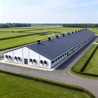 China Budget-friendly Modular Steel Structure Poultry House Building Frame for Quick Delivery Commercial Broiler Farm Warehouse for sale