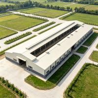 China Health-oriented Steel Structure Cow House with Efficient Drainage System for Industrial Manufacturing Warehouse Shed for sale