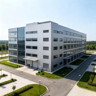 China Iconic Multi-story Steel Structure Building for Urban Commercial Landmark and Professional Business Center Warehouse for sale